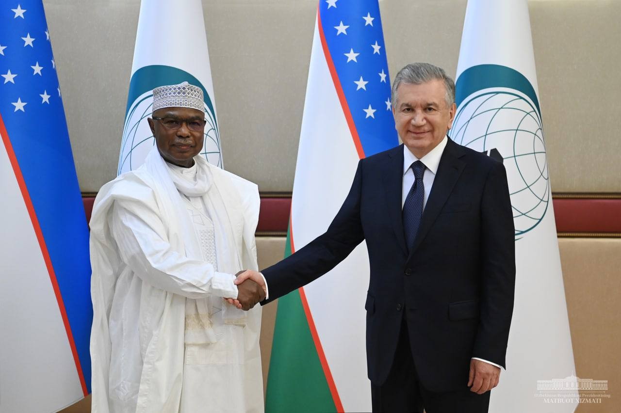 President of Uzbekistan, OIC Secretary-General discuss issues of ...