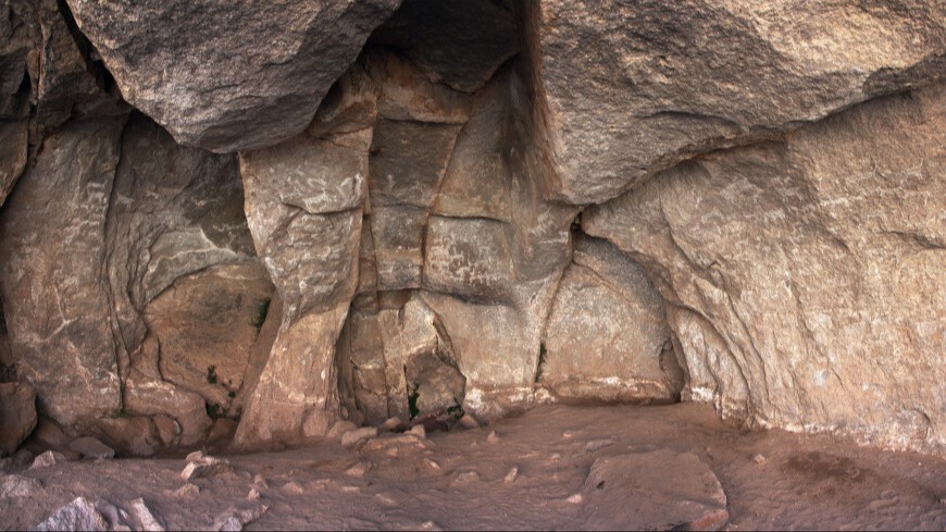 Amazonkada 2000 yillik qadimiy qoyatosh rasmlari topildi