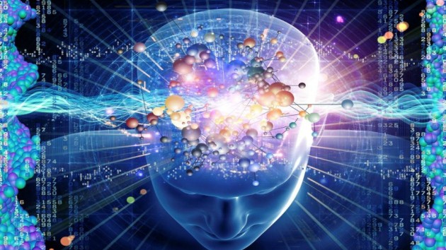 Sunʼiy intellekt — Oʻzbekiston texnologik rivojlanishining asosi