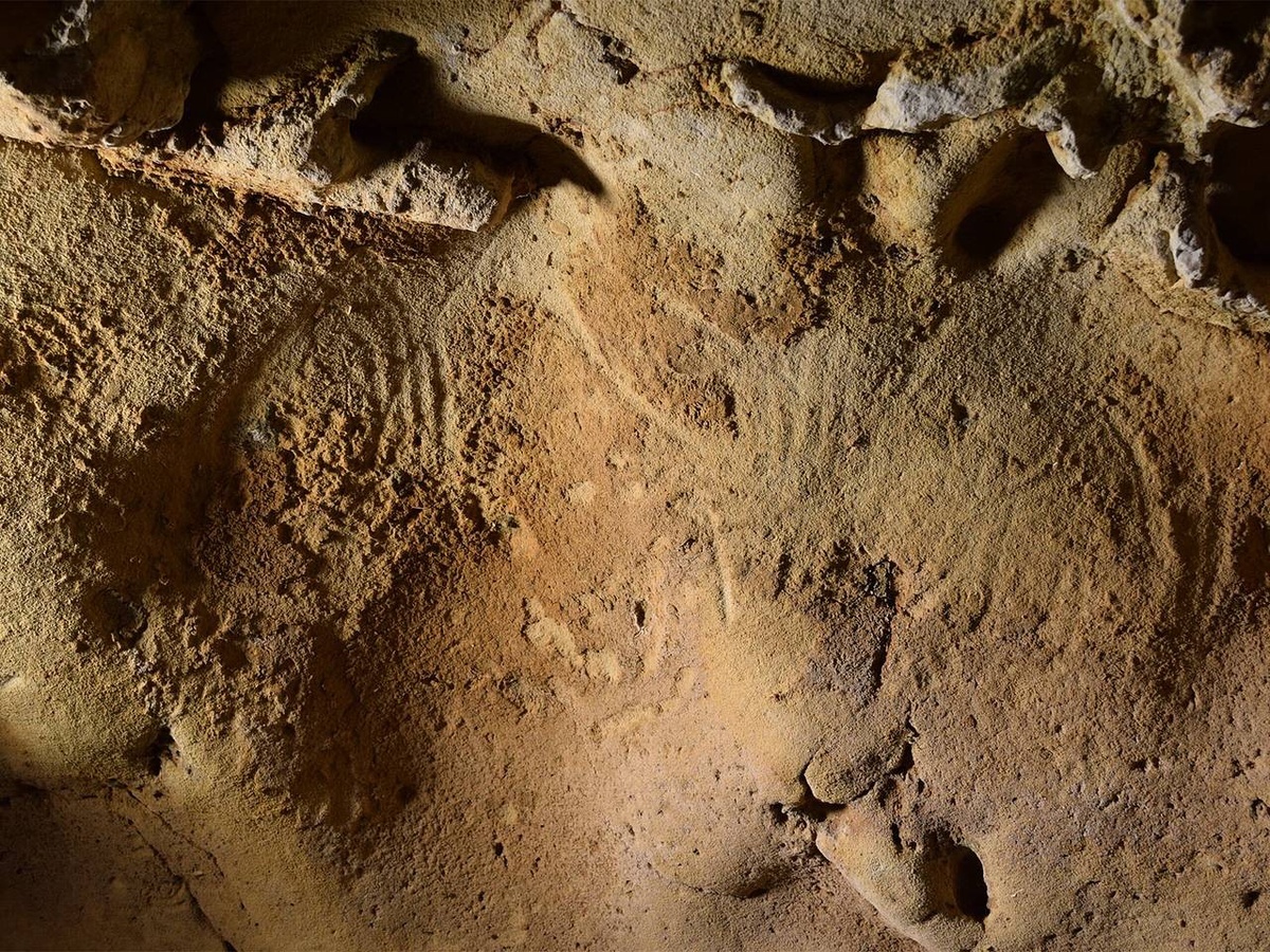 Neandertallarga tegishli eng qadimgi qoyatosh rasmlari topildi