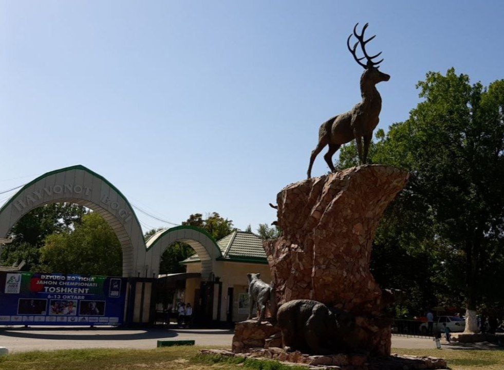 Kinokartinada jonivorlar hayoti haqida hikoyalar