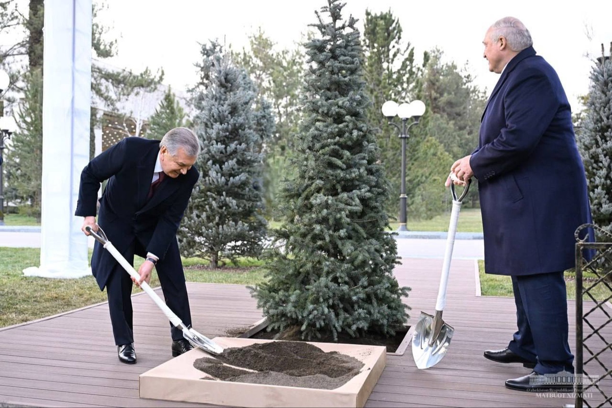 Davlat rahbarlari birgalikda daraxt ekdilar