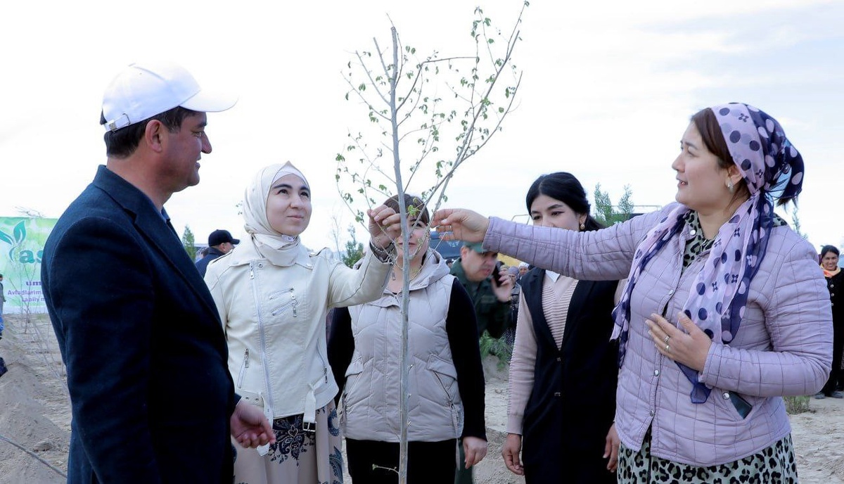 Faqat ekish bilan ish bitmaydi