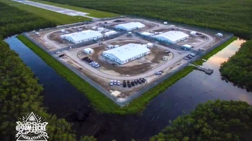 A prison surrounded by alligators will be built in Florida for migrants