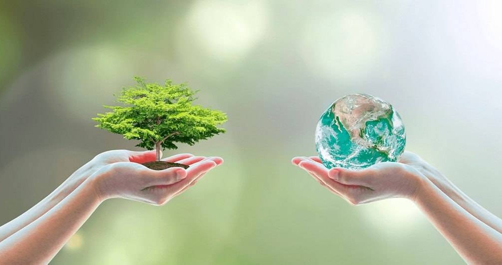 “Atrof-muhitni asrash va «yashil iqtisodiyot” yiliga moʻljallangan ...