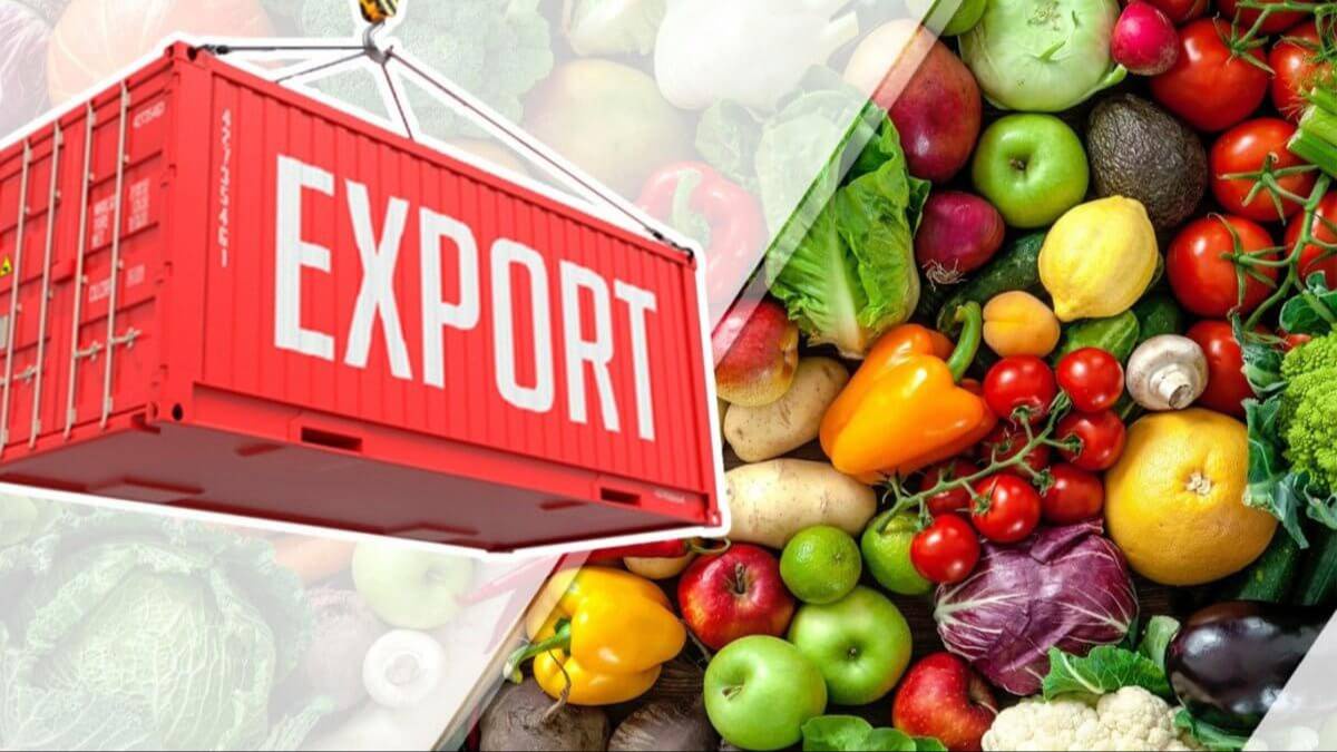 Uzbekistan plans to increase exports of food and fruit and vegetable ...