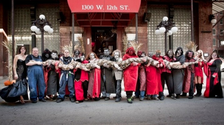 Dunyodagi eng yirik va kichik ilonlar